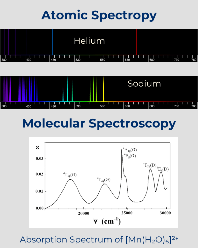 Women of Quantum: Hertha Sponer – The Spin of Things